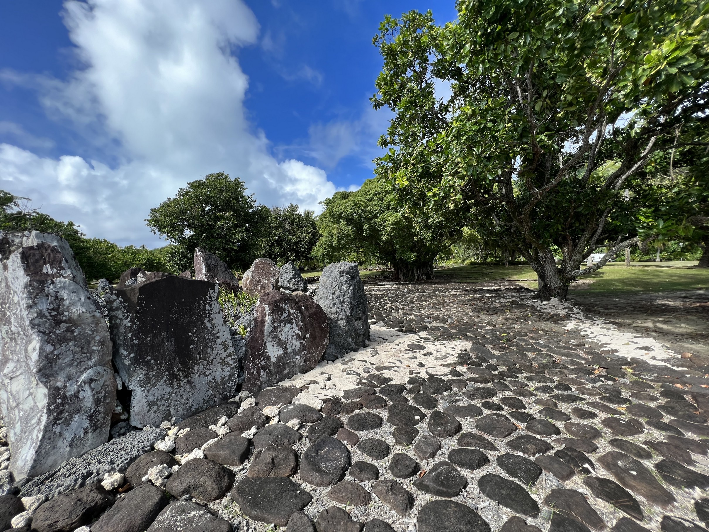 Hiro’a n°193 – Le Saviez-vous